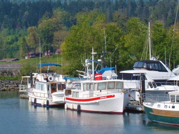 Welcome to Sequim WA, the Blue Hole of Washington State