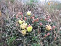 Welcome to Sequim WA, the Blue Hole of Washington State