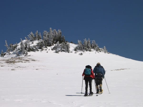 Welcome to Sequim WA, the Blue Hole of Washington State