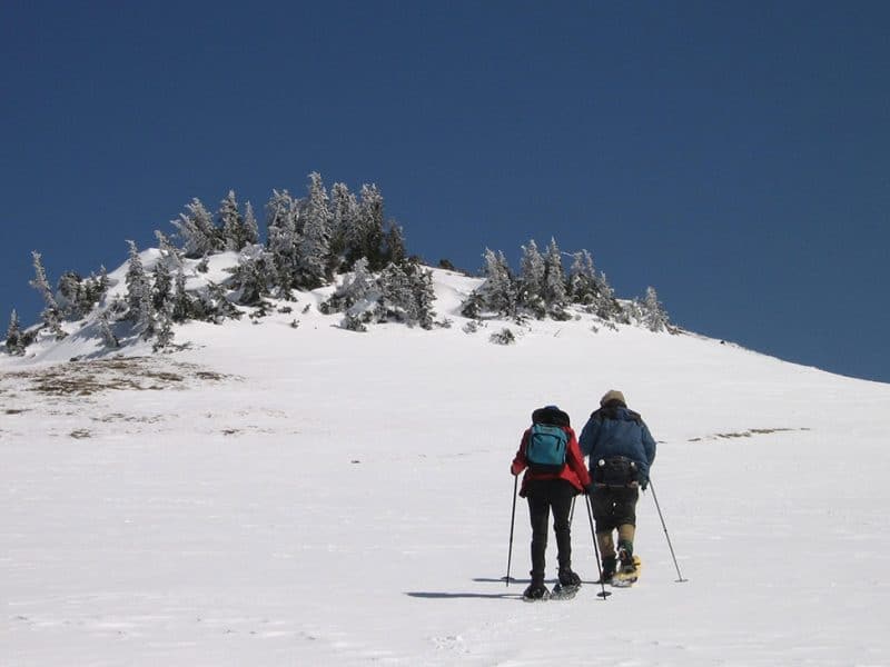 Welcome to Sequim WA, the Blue Hole of Washington State