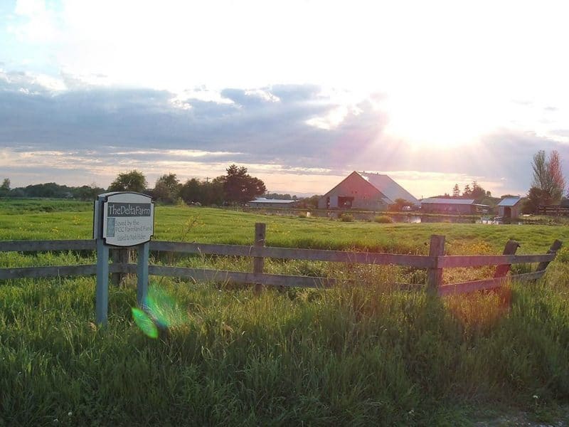 Welcome to Sequim WA, the Blue Hole of Washington State