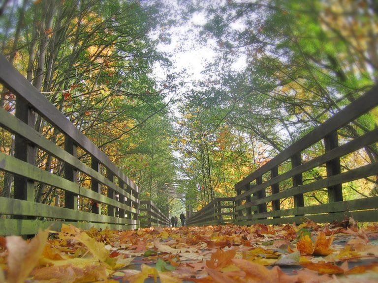 Welcome to Sequim WA, the Blue Hole of Washington State